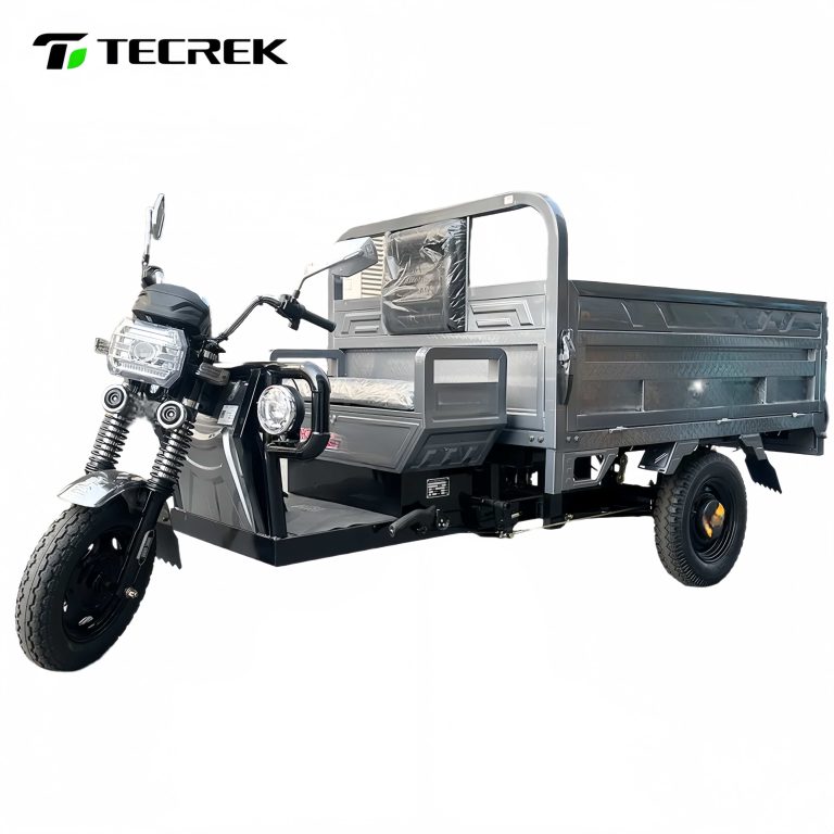 three wheel cargo truck - ShanDong TaiRui